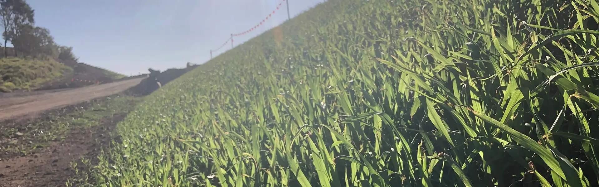 Past and present - Vereco